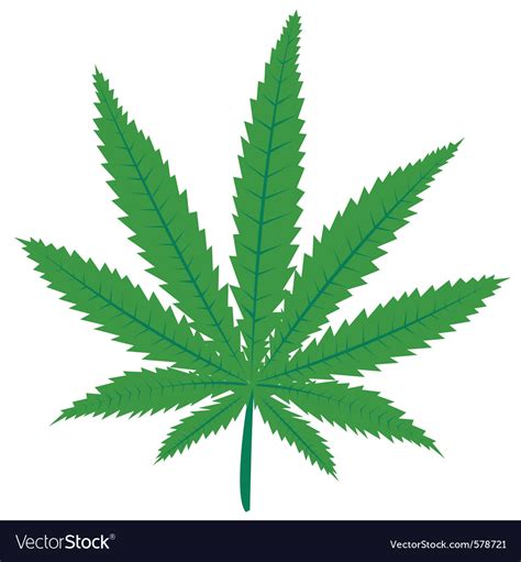 Cannabis Leaf Vector