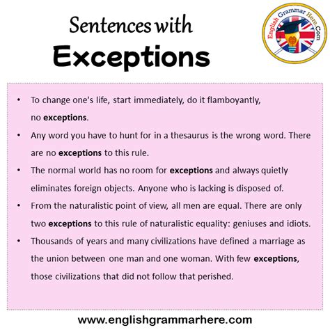 Sentences With Exceptions Exceptions In A Sentence In English Sentences For Exceptions