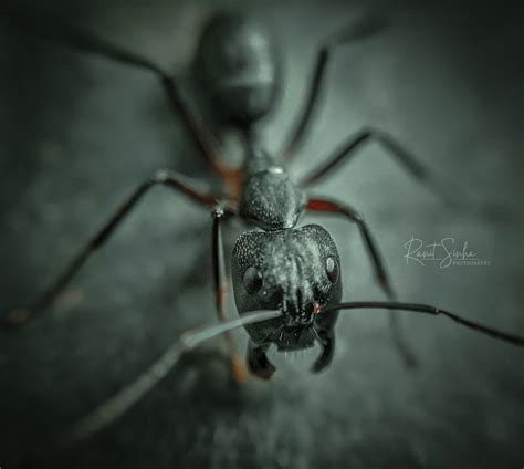 8 In 1 Mobile Phone Camera Lens Kit Adcom India