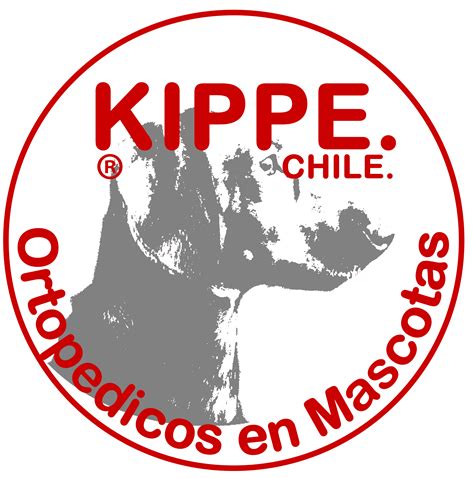 Kippe Ortopédicos Para Mascotas