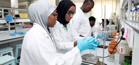 Universities In Nigeria That Offer Biomedical Engineering