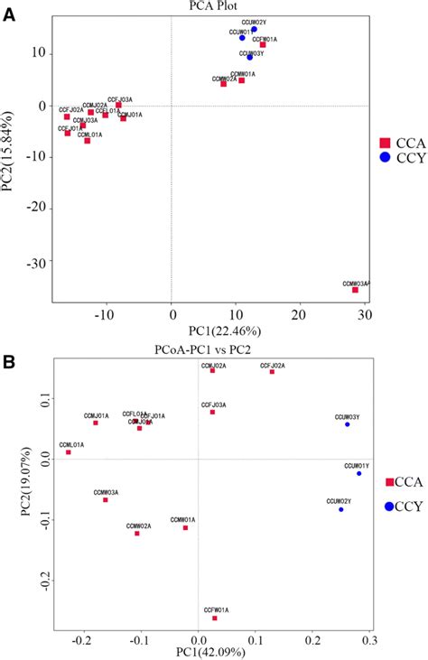 Pca Analysis A And Pcoa Analysis Based On Weighted B Unifrac