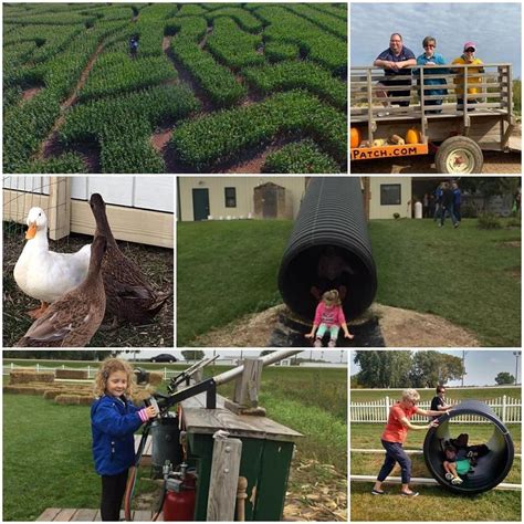Pollys Pumpkin Patch Pumpkin Patch Near Me