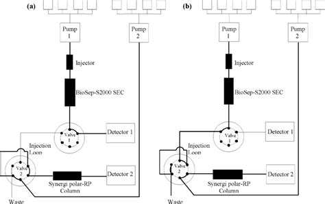 Schematic Diagram Of Two Dimensional High Performance Liquid