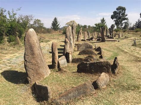Tiya World Heritage Site Tripadvisor