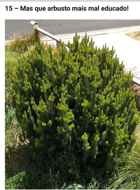 Putasso Meme Subido Por Estevesaqui Memedroid