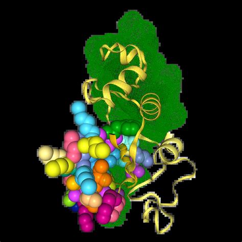 Molecular Visualization 310 Copilot