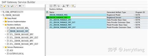 在 Sap Abap 系统对事物码 Segw 创建的 Odata 服务进行配置并测试试读版 知乎