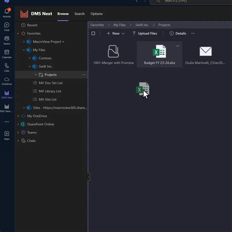 macroview dms next macroview