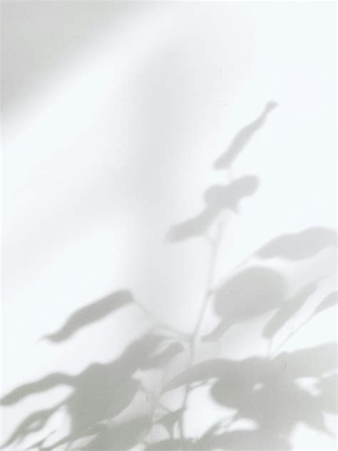 White Shadow Wallpapers Top Free White Shadow Backgrounds