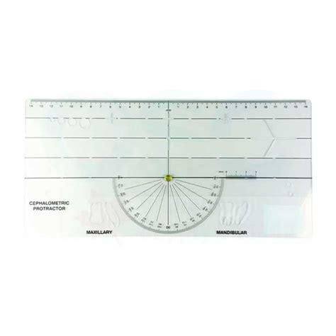Cephalometric Protractortemplate