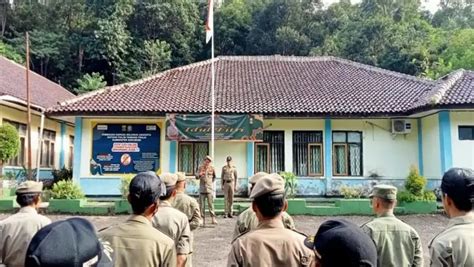 Baum Test 10 Menit Tips Lolos Menjawab Soal Psikotes Gambar Pohon