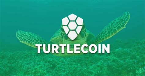 What Is Turtlecoin Trtl Features Specifications And Wallet Setup