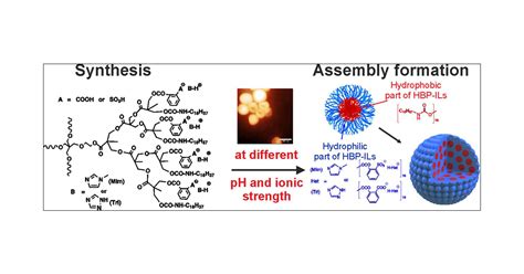 Assembly Of Amphiphilic Hyperbranched Polymeric Ionic Liquids In