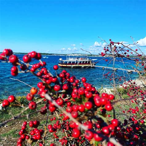 Private Sunset Dolphin Excursion With Sandra Boat Power Traveller