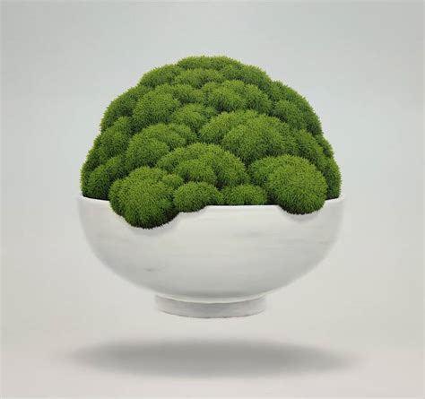 이끼의 우아한 소통 자연스러운 삶의 미학 양종용 작가 청년타임스 이끼의 우아한 소통 자연스러운 삶의 미학 양종용 작가 청년타임스