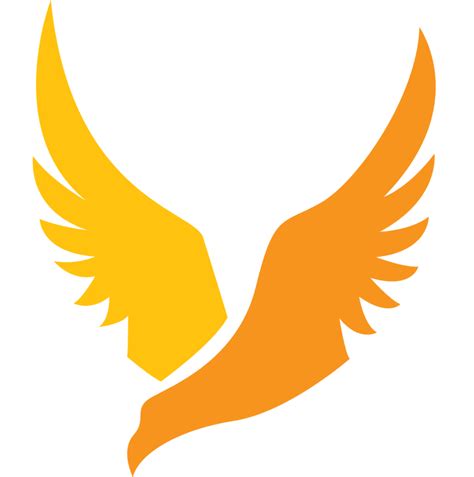 Hawk 36662924 Vector Art At Vecteezy