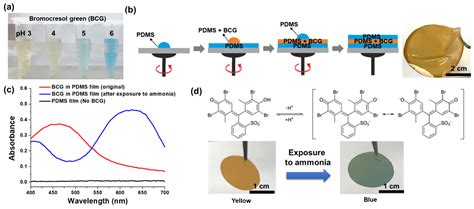 Biosensors Free Full Text A Flexible And Attachable Colorimetric Film Sensor For The