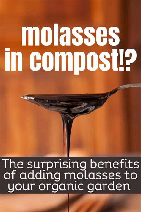 How To Use Molasses In Compost And Fertilize Your Garden The Compost