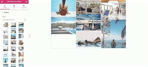 Stratum Widgets Elementor Image Gallery MotoPress