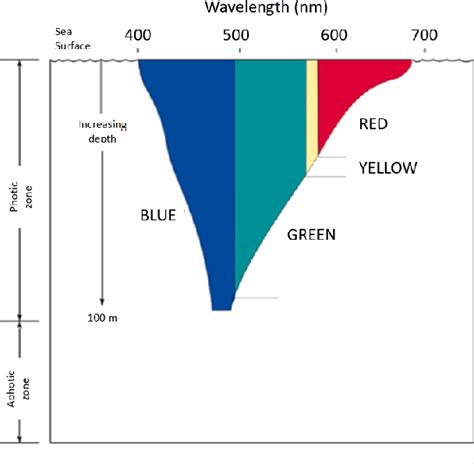 Figure 1 From The Use Of Saliency In Underwater Computer Vision A Review Semantic Scholar