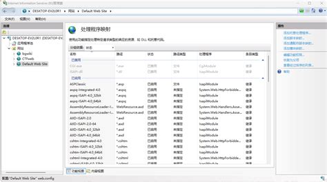 Ctf Web Iis Windows Php