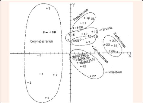 Classi Cation Of Bacterial Strains Based On Their Sensitivity To