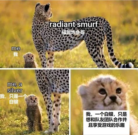 《瓦罗兰特》每日梗图分享瓦罗兰特游民星空