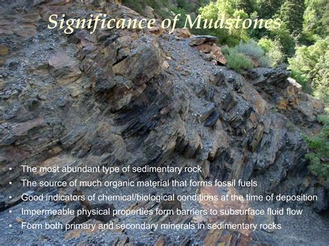 Classification Of Mudstone Pptx