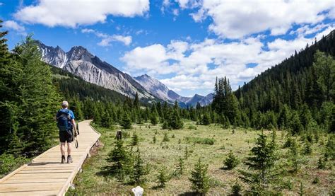 Hiking In Alberta 18 Of The Best Day Hikes Artofit