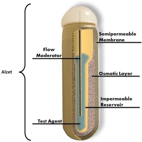 Push Pull Osmotic Pumps Using Crosslinked Hard Gelatin 47 Off
