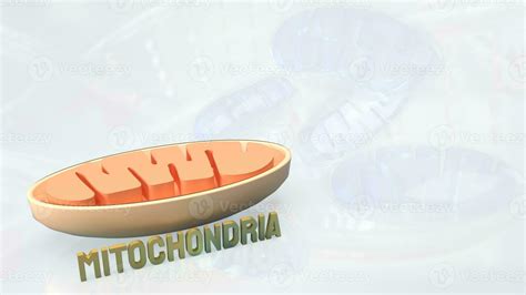 The Mitochondria For Sci Or Health Concept 3d Rendering 35689931 Stock