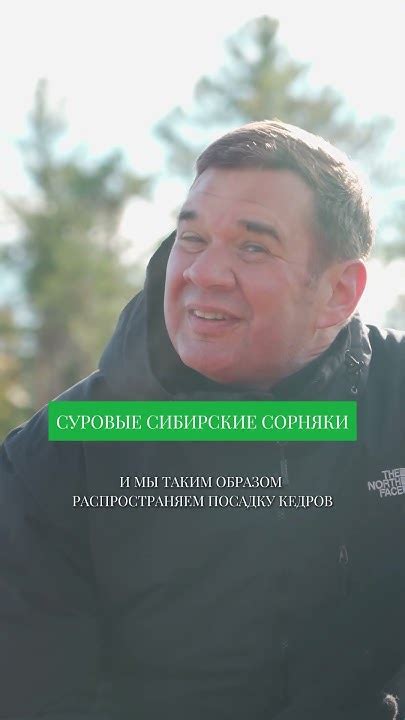Суровые северные СОРНЯКИ Дикая клюква Youtube