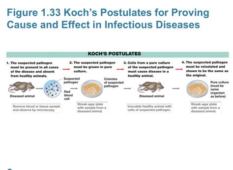 Biol 2051 Ch 1 Microbial World Flashcards Quizlet