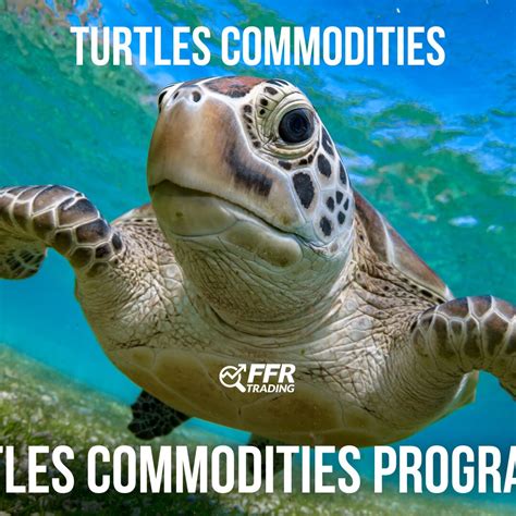 Unlock The World Of Profitable Commodities Trading With The Time Tested Turtles Commodities