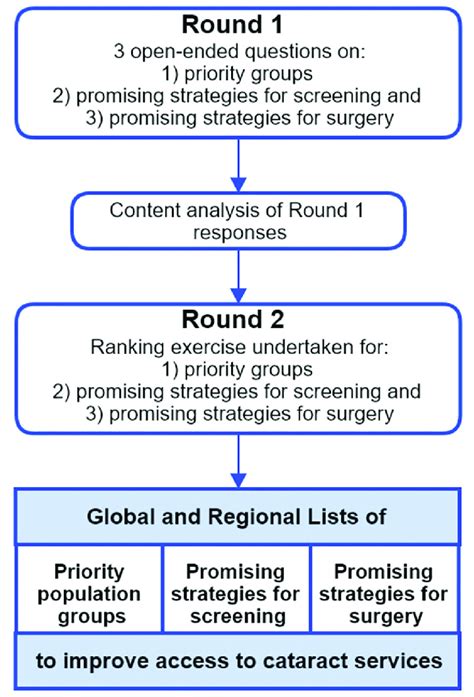 Summary Of The Delphi Process To Prioritise Strategies To Reduce