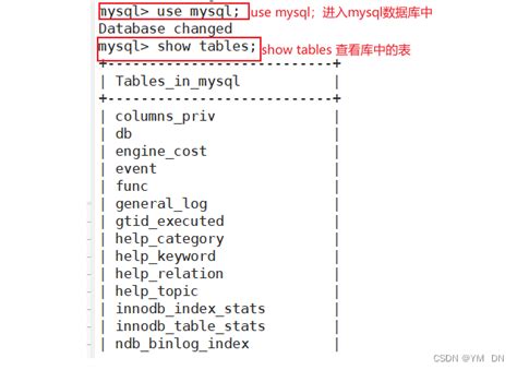 数据库之mysql基本操作命令mysql Show Database Csdn博客 数据库之mysql基本操作命令mysql Show Database Csdn博客