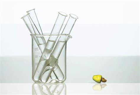 Cardolite Corporation Linkedin