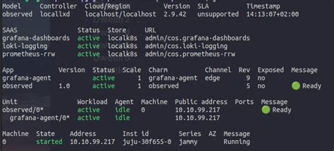 Grafana Dashboard Does Not Reappear In Grafana After Shutdown Getting Started Charmhub