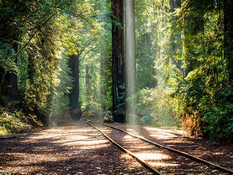 Michael Hebb A Death Wellness Expert Wants People To Plan For Their End