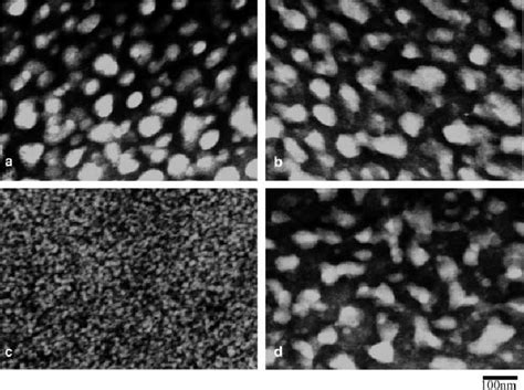 Transmission Electron Microscope Micrographs Of Polyurethane Pu Ps