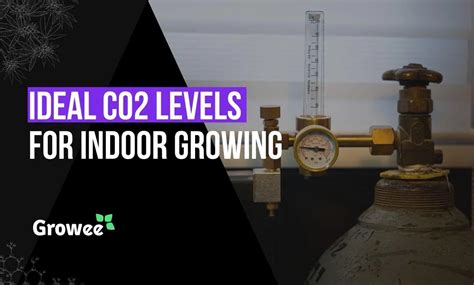 Importance Of Co2 Levels For Indoor Cannabis Growing Growee