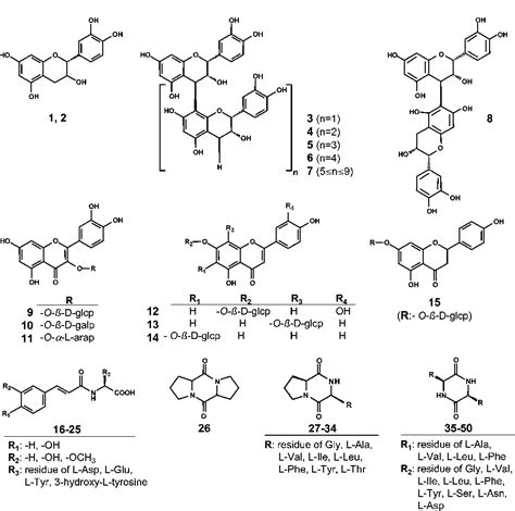 Figure 1 From Molecular Definition Of The Taste Of Roasted Cocoa Nibs Theobroma Cacao By Means