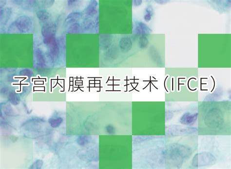 其他子宫内膜的处理方法 Ifce（子宫内膜再生技术） 不孕治疗・体外受精・人工授精｜医疗法人oak会 大阪东京