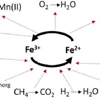 Pdf Cryptic Biogeochemical Cycles Unravelling Hidden Redox Reactions