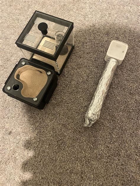 Best Way To Relocate My Colony Into New Set Up Rantkeeping