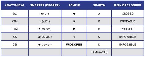 Insights From An Australian Gonioscopy Workshop Part 2 Insight