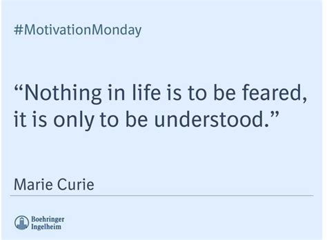 Anna Basile Posted On Linkedin