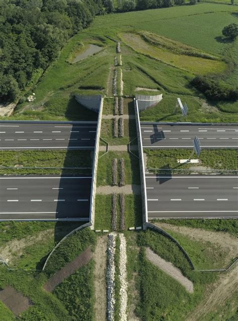 Des « éco Ponts En Béton Terre Daccueil De Nouveaux écosystèmes