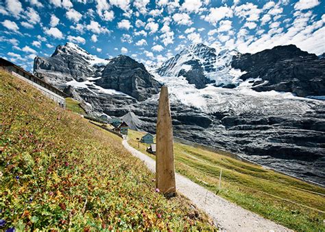 동신항운주 융프라우철도 한국총판